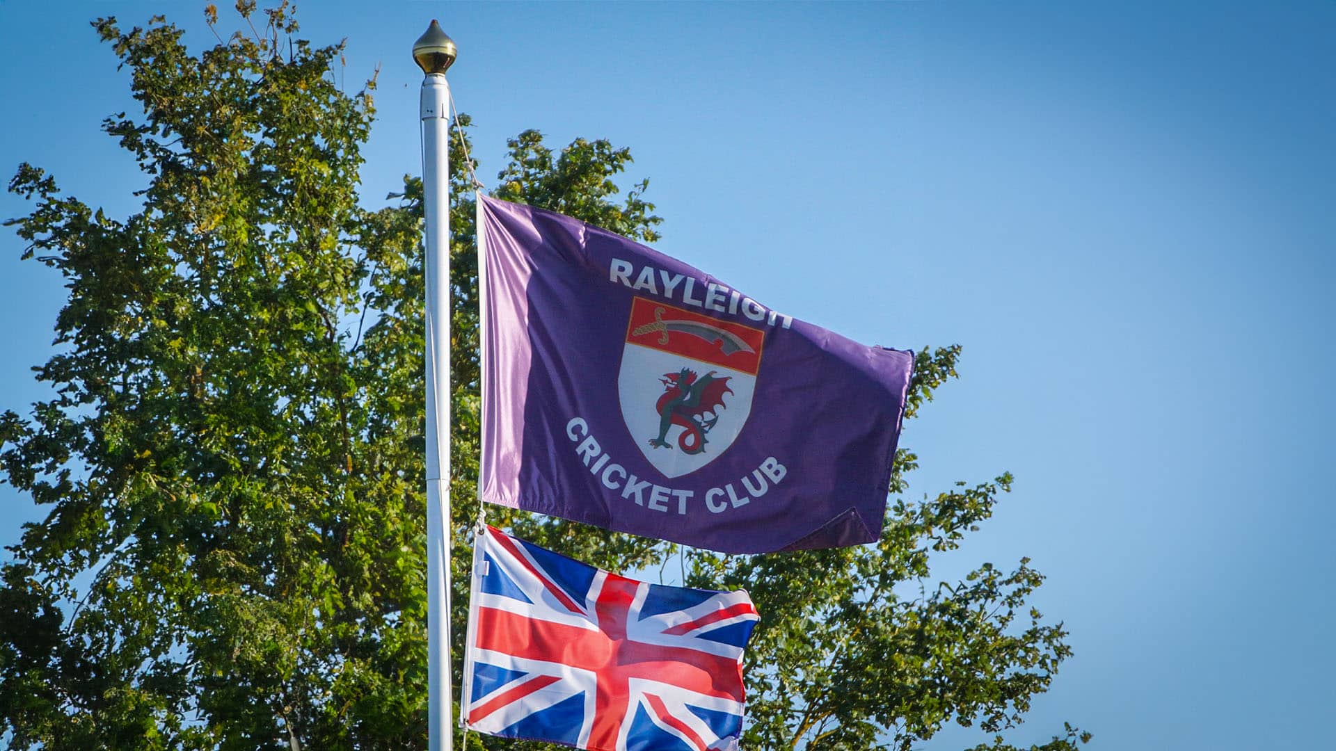 Weekly Round Up (w/e 2nd July) - Rayleigh Cricket Club