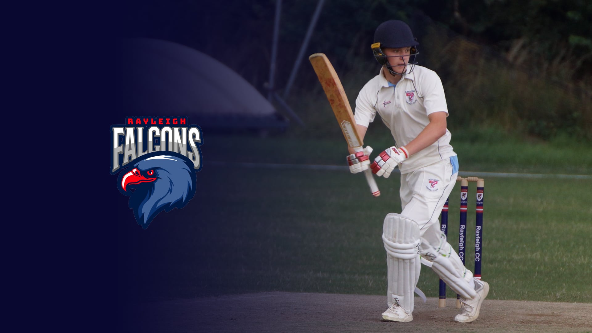 Highlights - U17 Falcons vs. Basildon - Rayleigh Cricket Club
