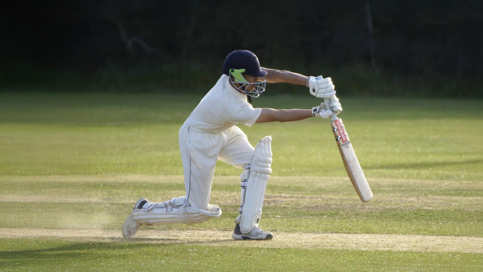 Batting Statistics (2024) - Rayleigh Cricket Club