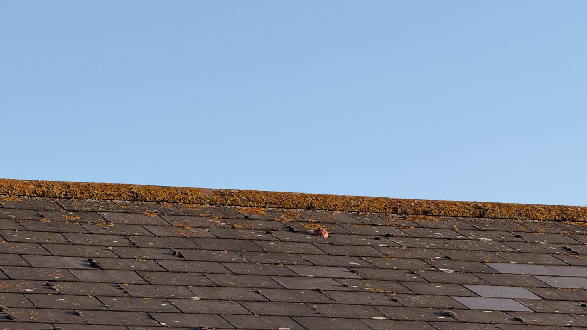 Home - Rayleigh Cricket Club